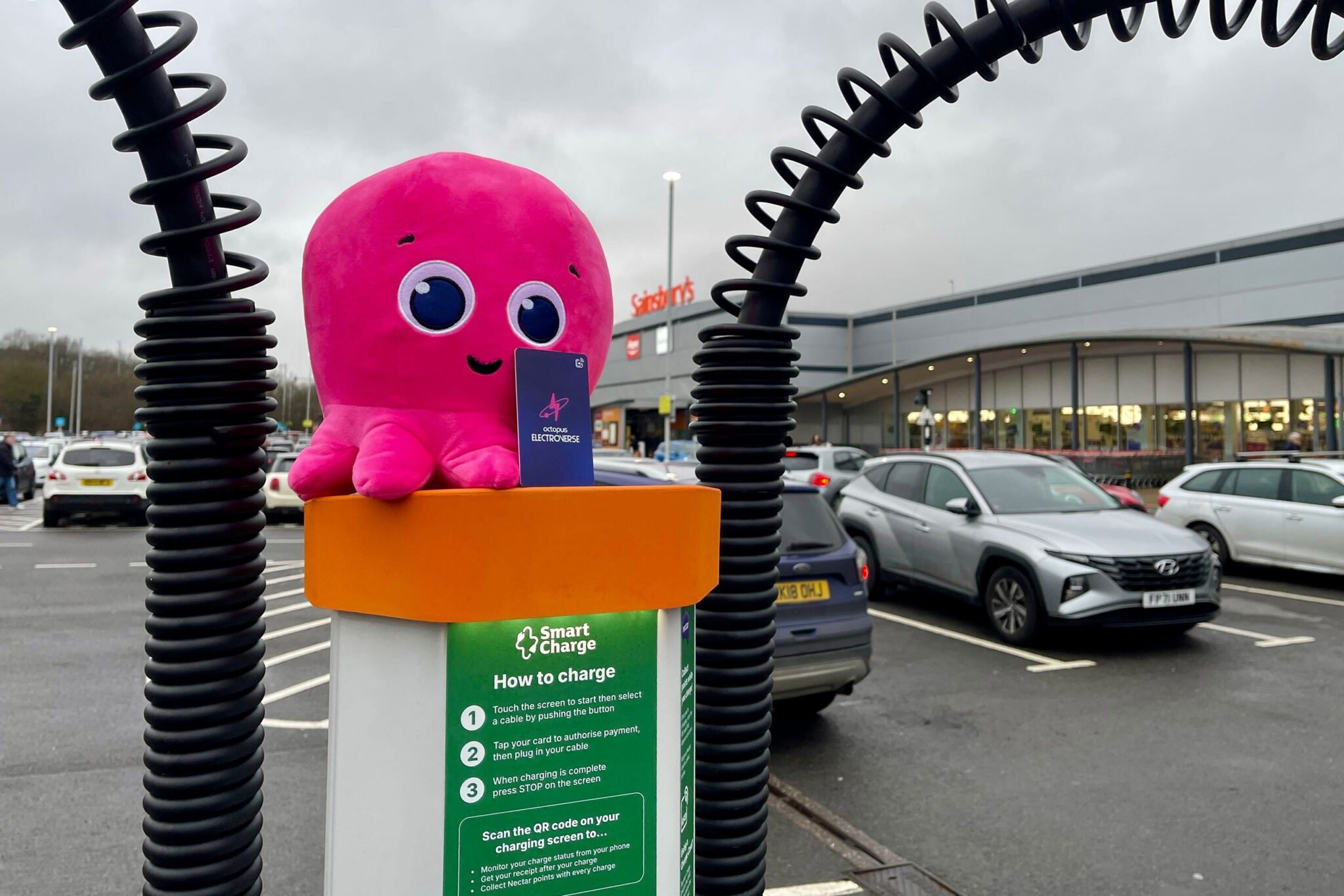 Octopus Fleet targets UK business EV charging market | Automotive World